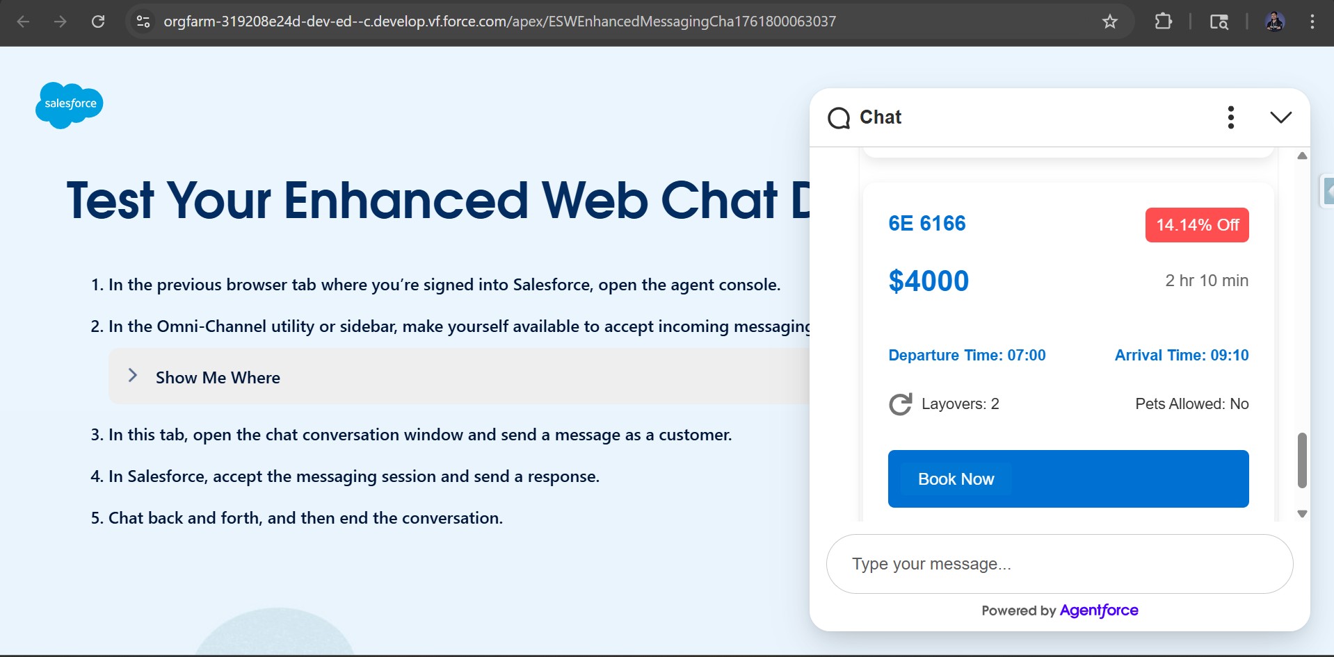 How to use Custom Lightning Types in Agentforce Service Agents? - 1 - Salesforce Diaries